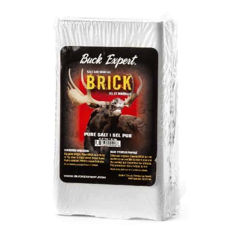 Buck Expert Pure Salt Moose Block - D&R Sporting Goods